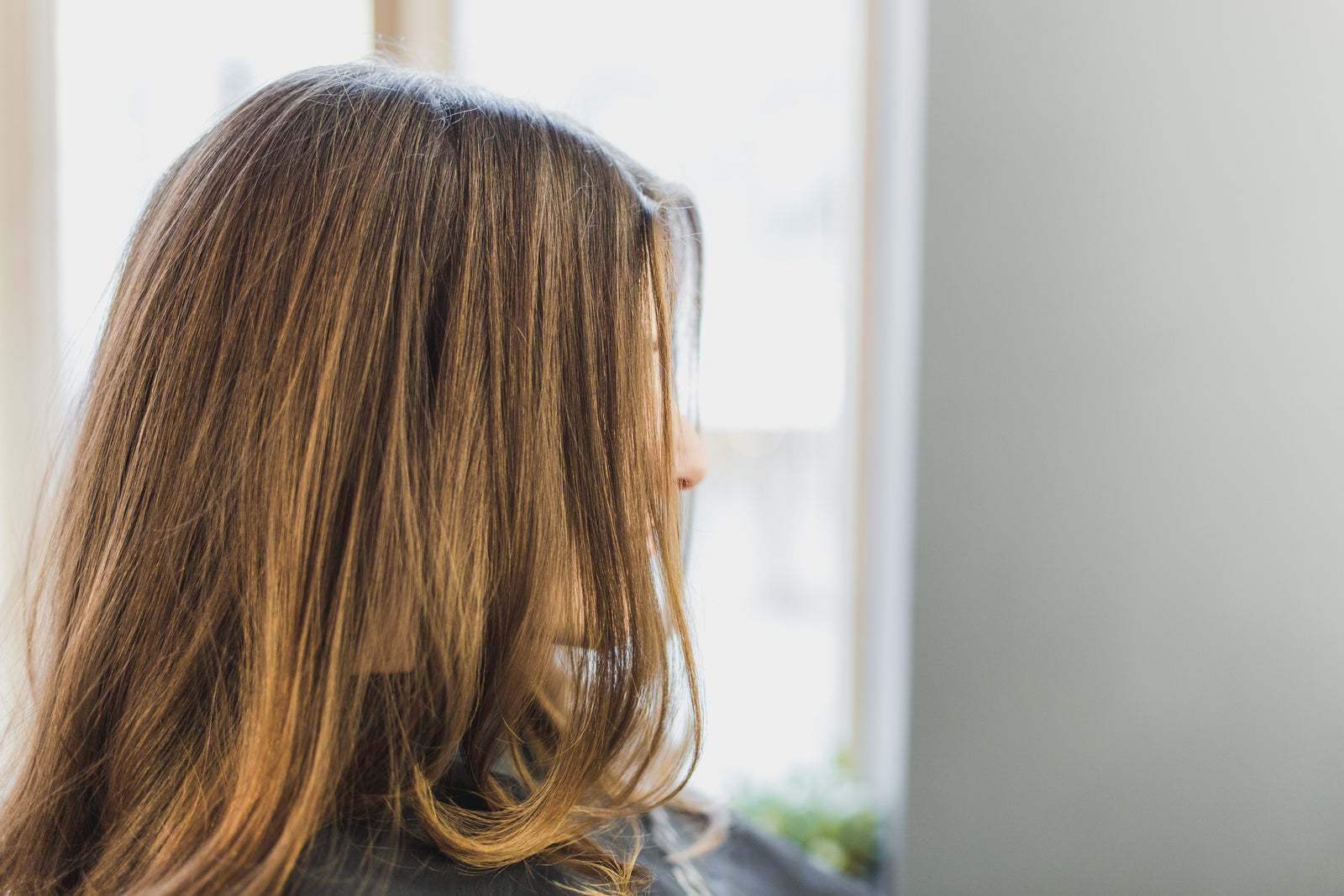 Why Your Hair Color Is Fading Fast – Hairology Beauty Studio